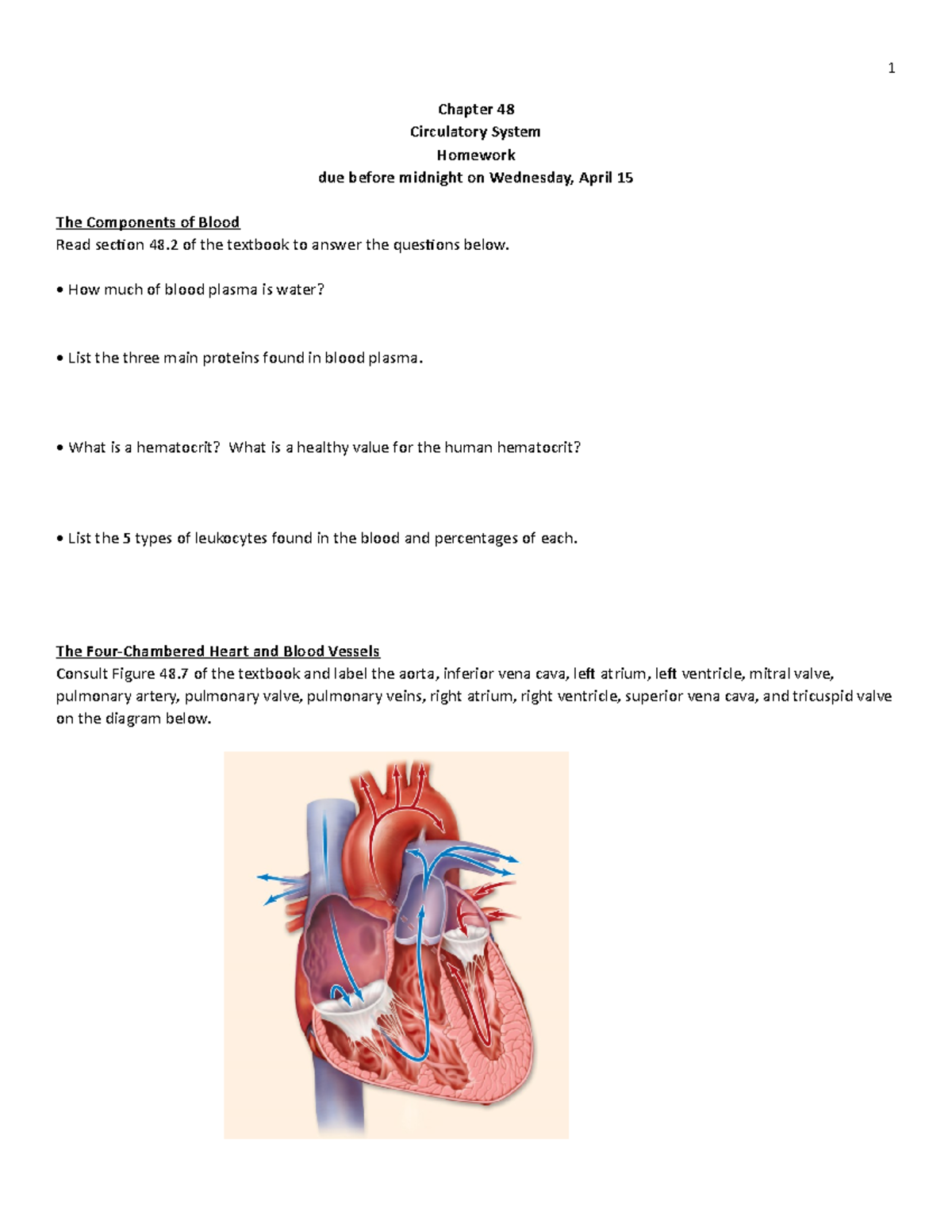 Ch 48 HW - homework - 1 Chapter 48 Circulatory System Homework due ...