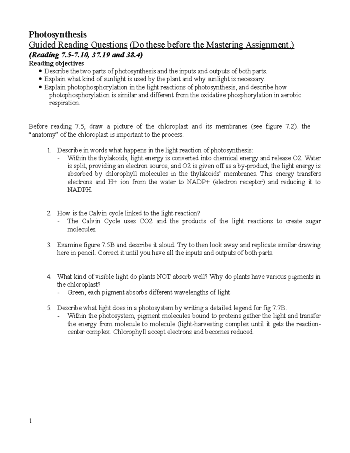 Lesson 8 GRQs Photosynthesis Class Notes - Photosynthesis Guided ...