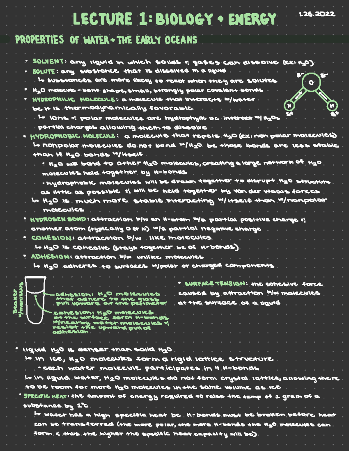 Biology - Ken Miller Lecture Notes - LECTURE 1. ' BIOLOGY ENERGY '-20 ...