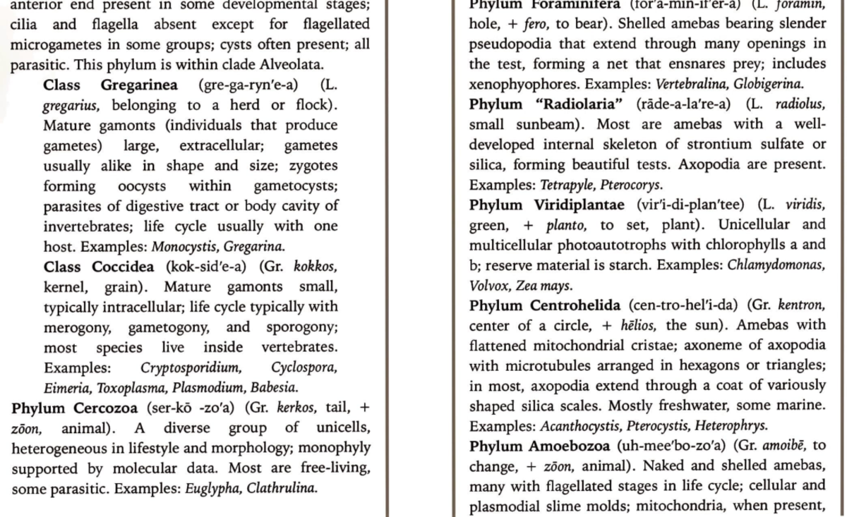 Chap 11 summary - Dr. Matthew grober - Integrated Principles of Zoology ...