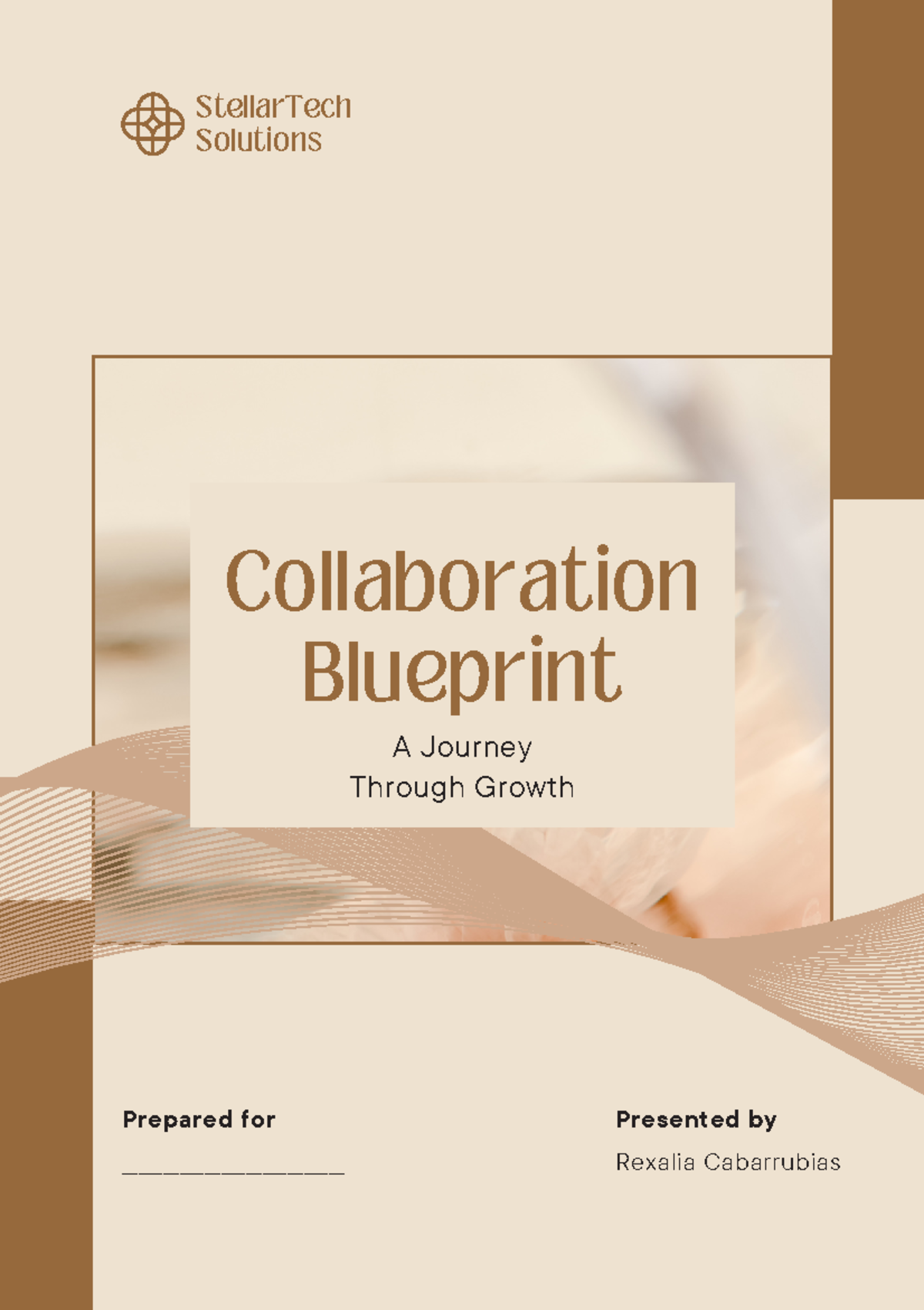Nzjsisyshabwooww - Collaboration Blueprint Prepared for StellarTech ...