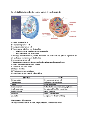 [Solved] Kuvaile hermosolun aktivaation eri tekijtvaiheet - Biologie ...