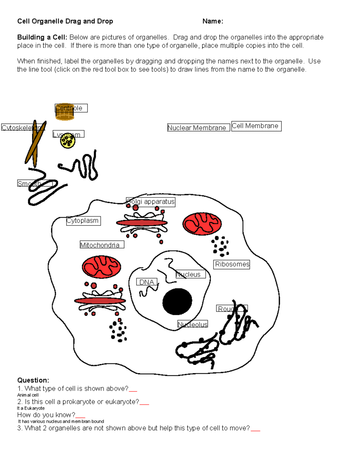 eqswyirq79twsqwedqwdq - Cell Organelle Drag and Drop Name: Building a ...