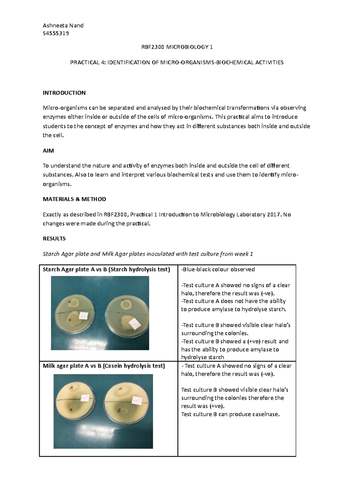 Lab report 4-Micro-organisms - Ashneeta Nand S RBF2300 MICROBIOLOGY 1 ...