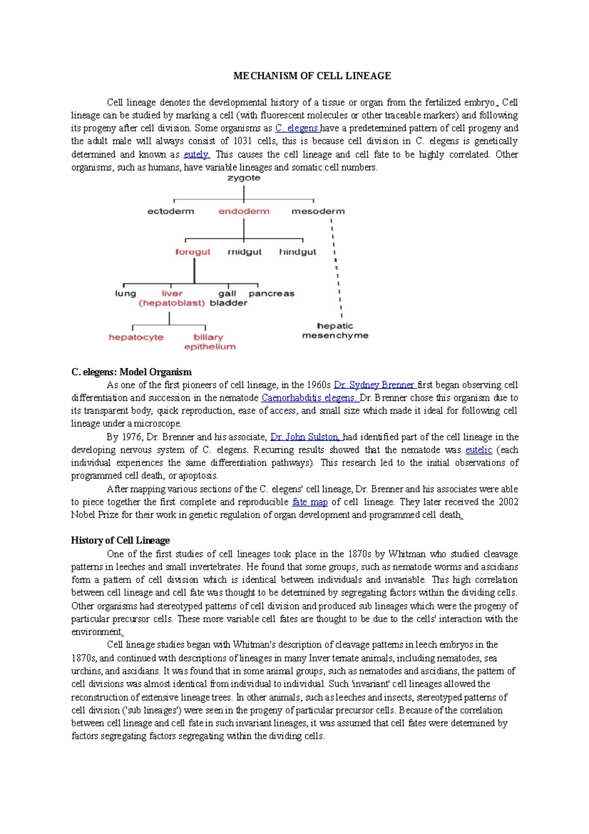 Cell lineage - Lecture notes 1-3 - MECHANISM OF CELL LINEAGE Cell ...