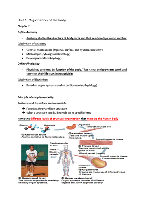 Cardiovascular Physiology Revision Notes - Revision notes & learning ...