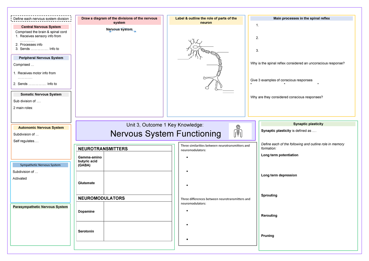 Nervous sytem poster - psych - Unit 3, Outcome 1 Key Knowledge: Nervous ...