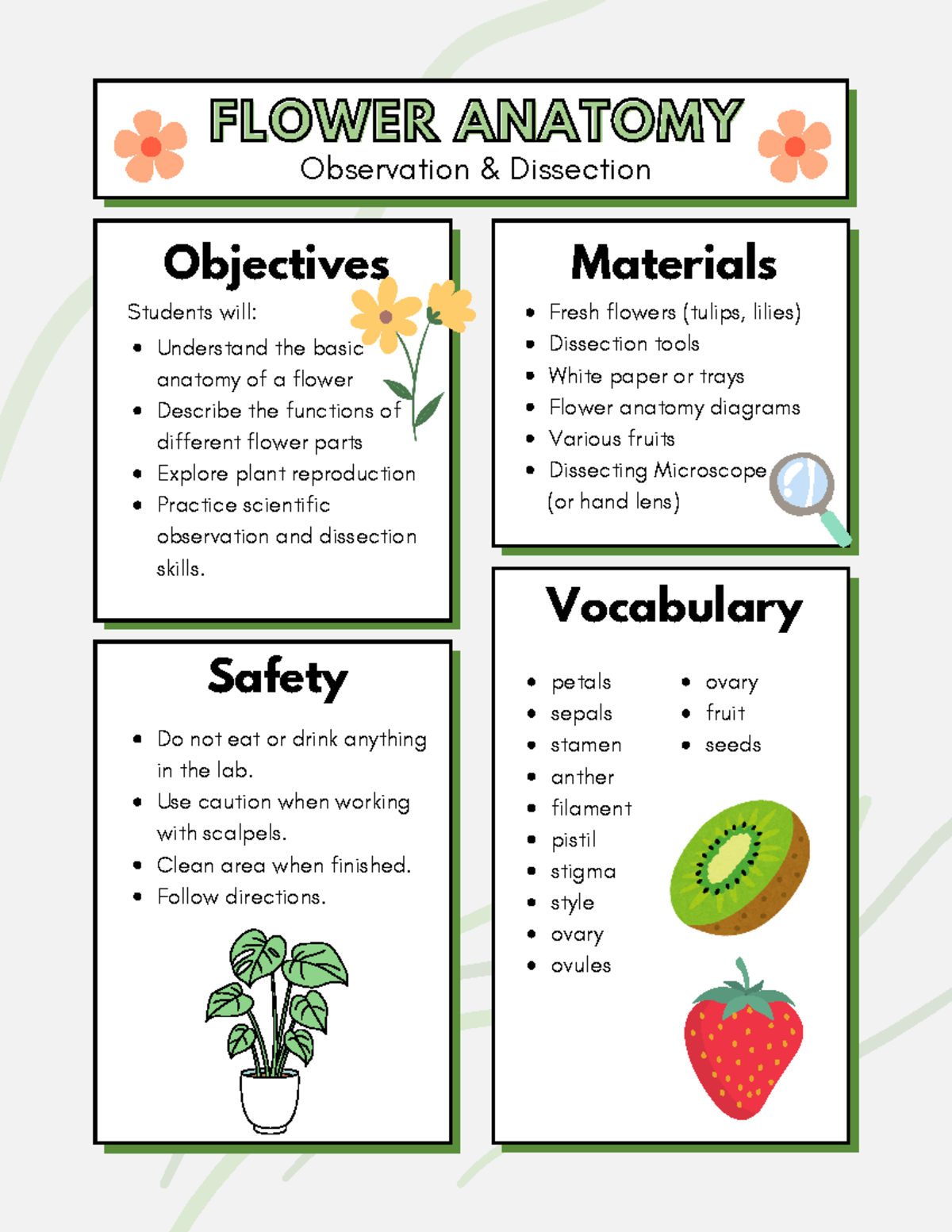 Flower Dissection - Understand the basic anatomy of a flower Describe ...
