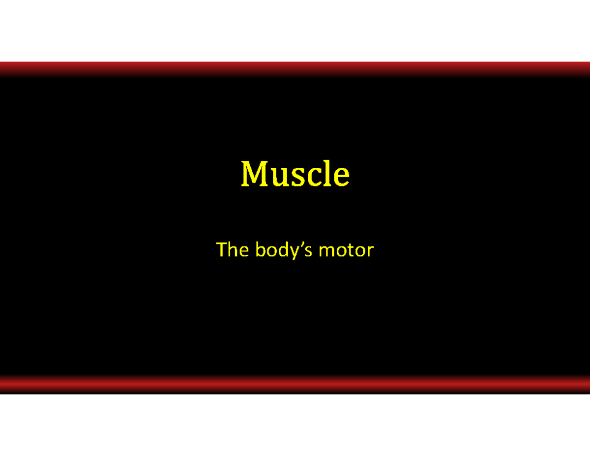 Muscle Slides - Lara - The bodyís motor Department of Kinesiology The ...