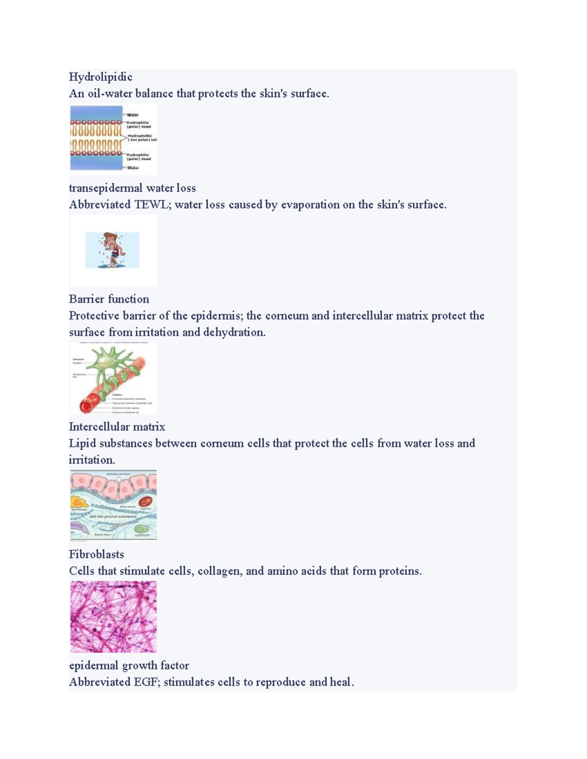Phys 1 - practice materials - Hydrolipidic An oil-water balance that ...