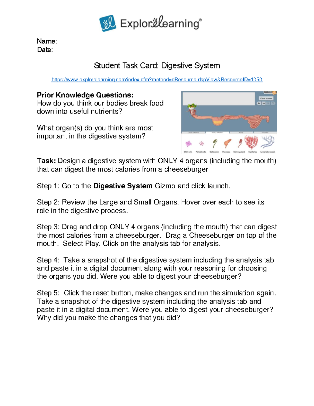Digestive System Student Task Card - Name: Date: Student Task Card ...