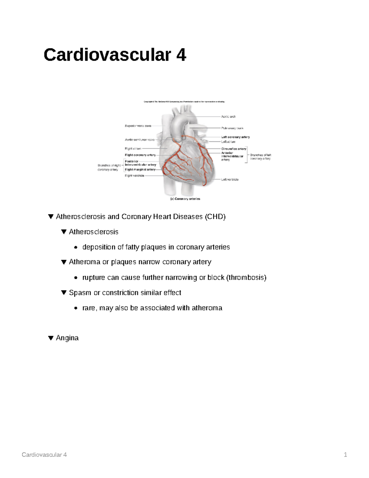 Cardiovascular 4 - Lecture notes based on lecture given by Dr Alistar ...