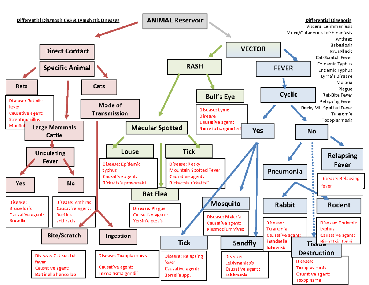 Ch 23 CVS & Lymph Diff Diagnosis 2024 - Differential Diagnosis CVS ...