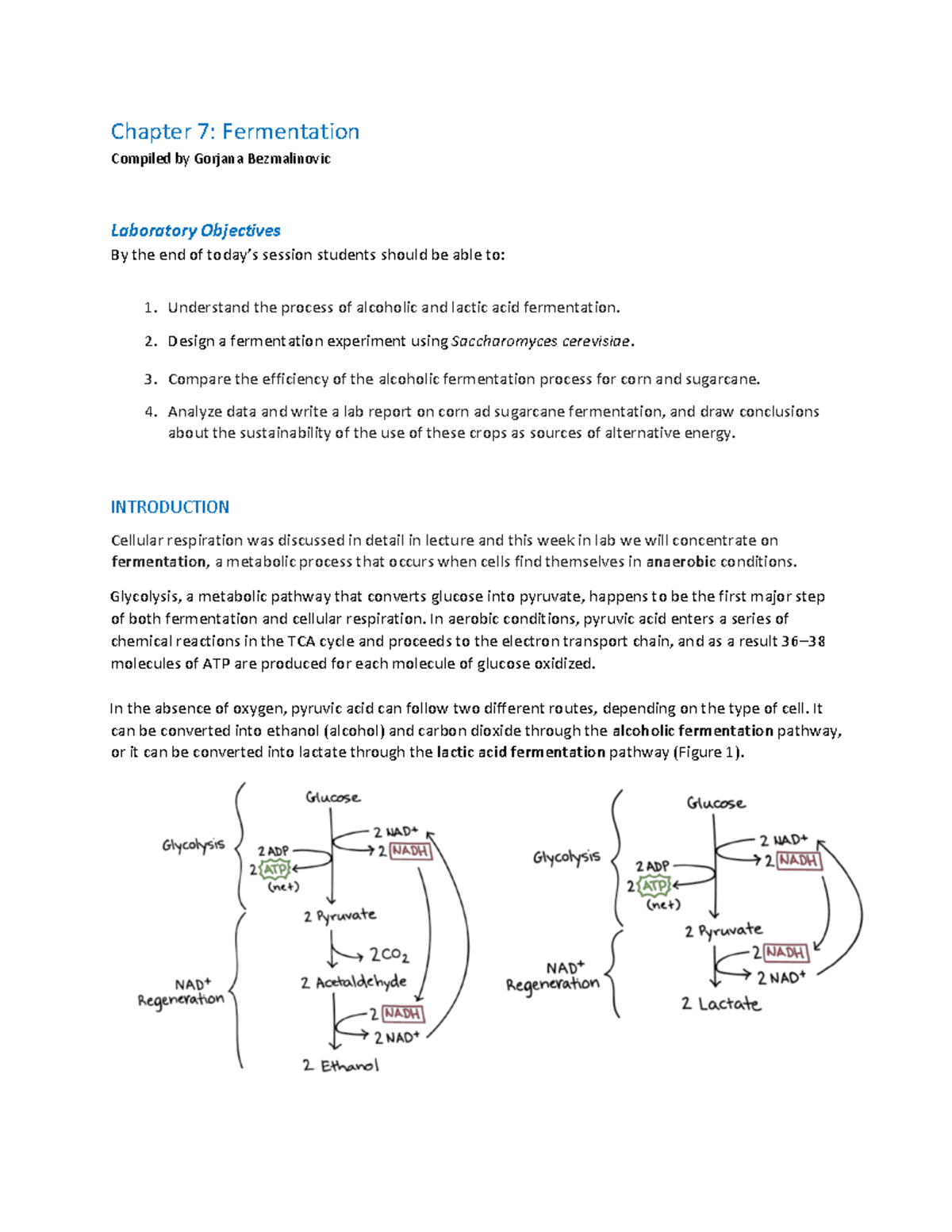 Bio Lab Fermentation Lab Report Lab Manual - Chapter 7: Fermentation ...