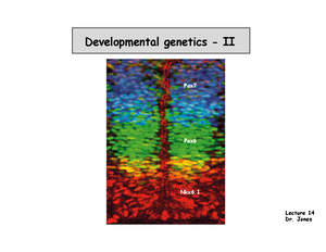 Lab report 1 - PTC paper - Genetic, Functional, and Phenotypic ...