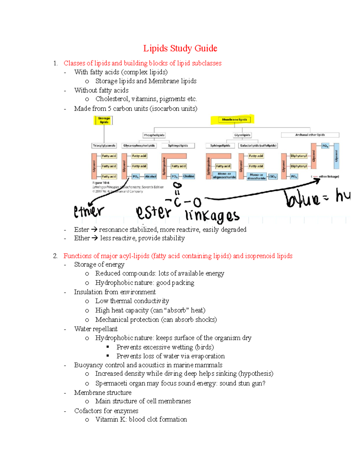 Lipids Study Guide - Lipids Study Guide Classes of lipids and building ...