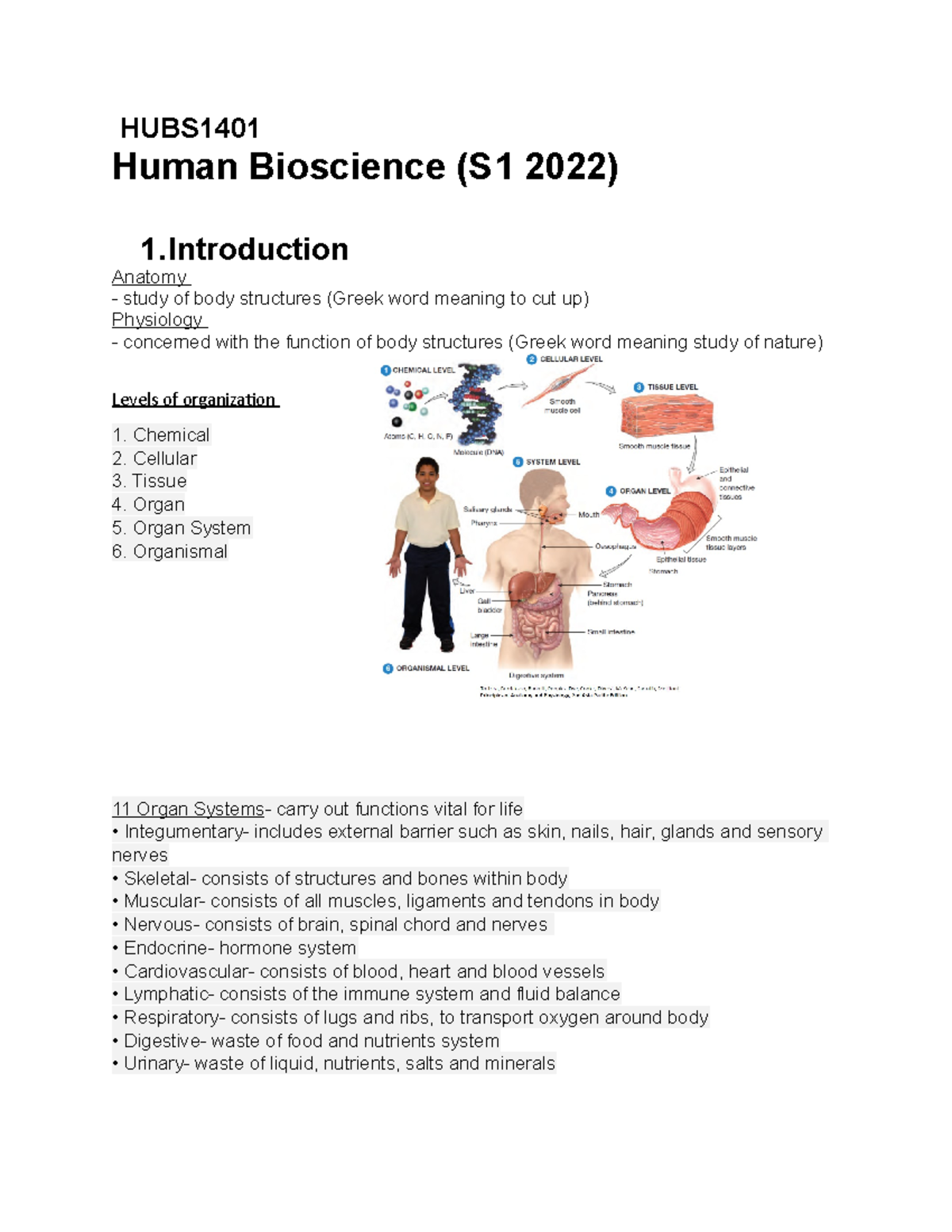 HUBS1401 study notes - HUBS Human Bioscience (S1 2022) 1 Anatomy study ...