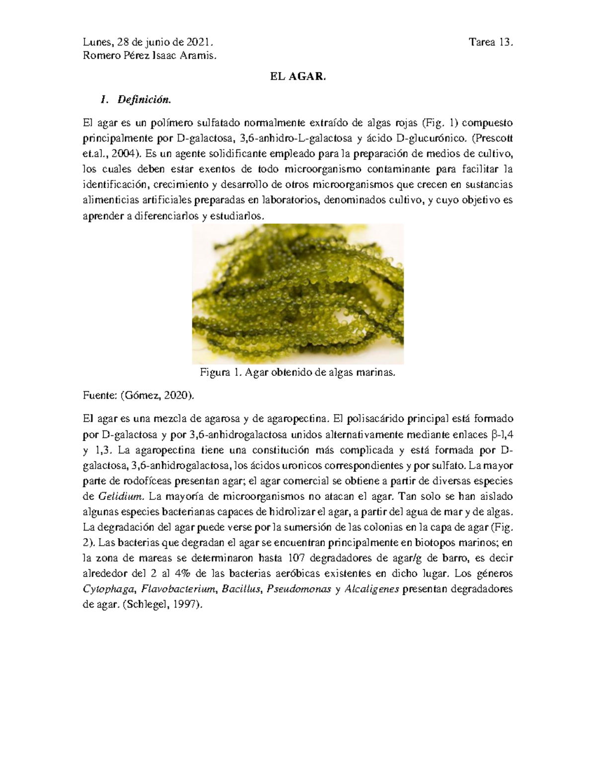 Caracteristicas fisicoquimicas del agar - Romero Pérez Isaac Aramis. EL ...