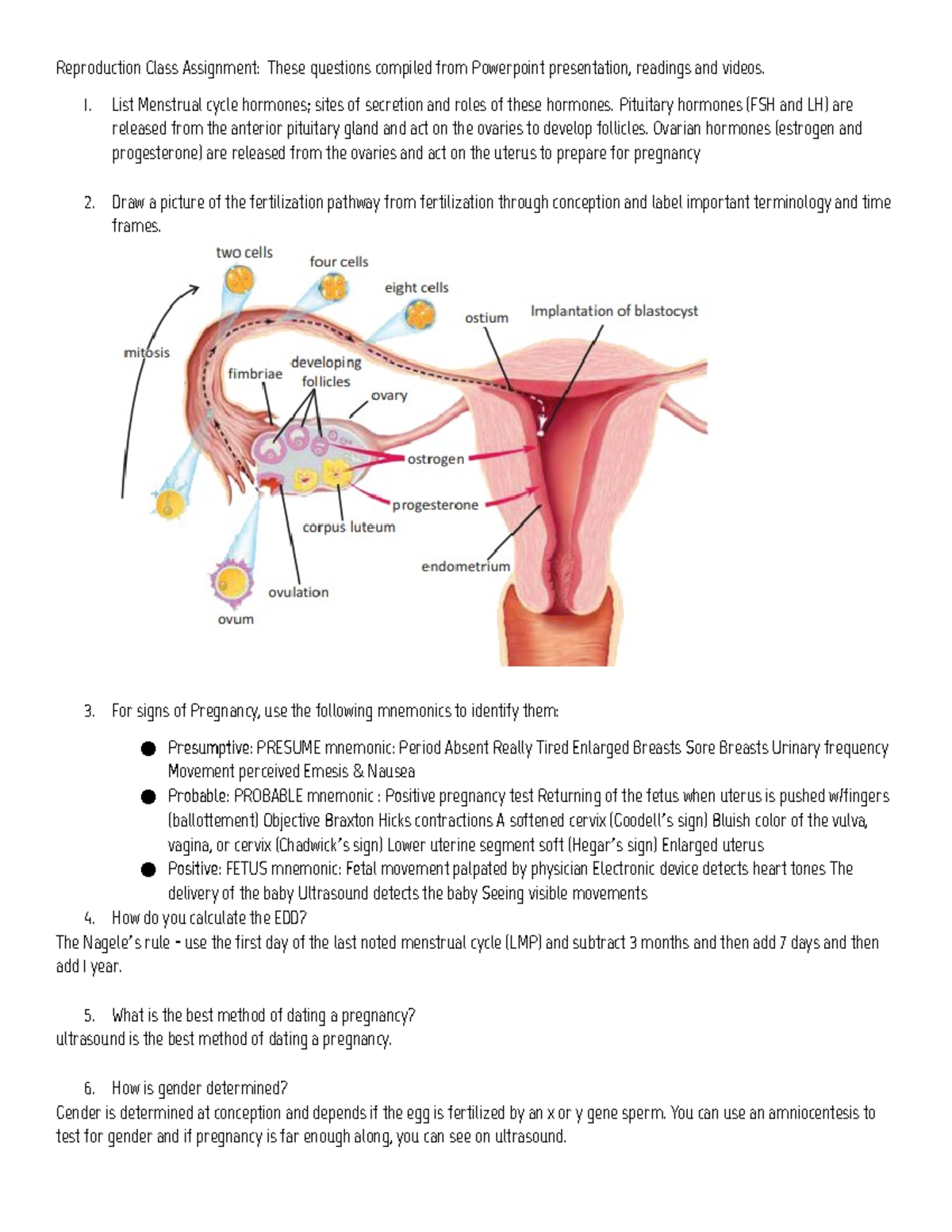 Copy of Reproduction Assignment Questions - Reproduction Class ...