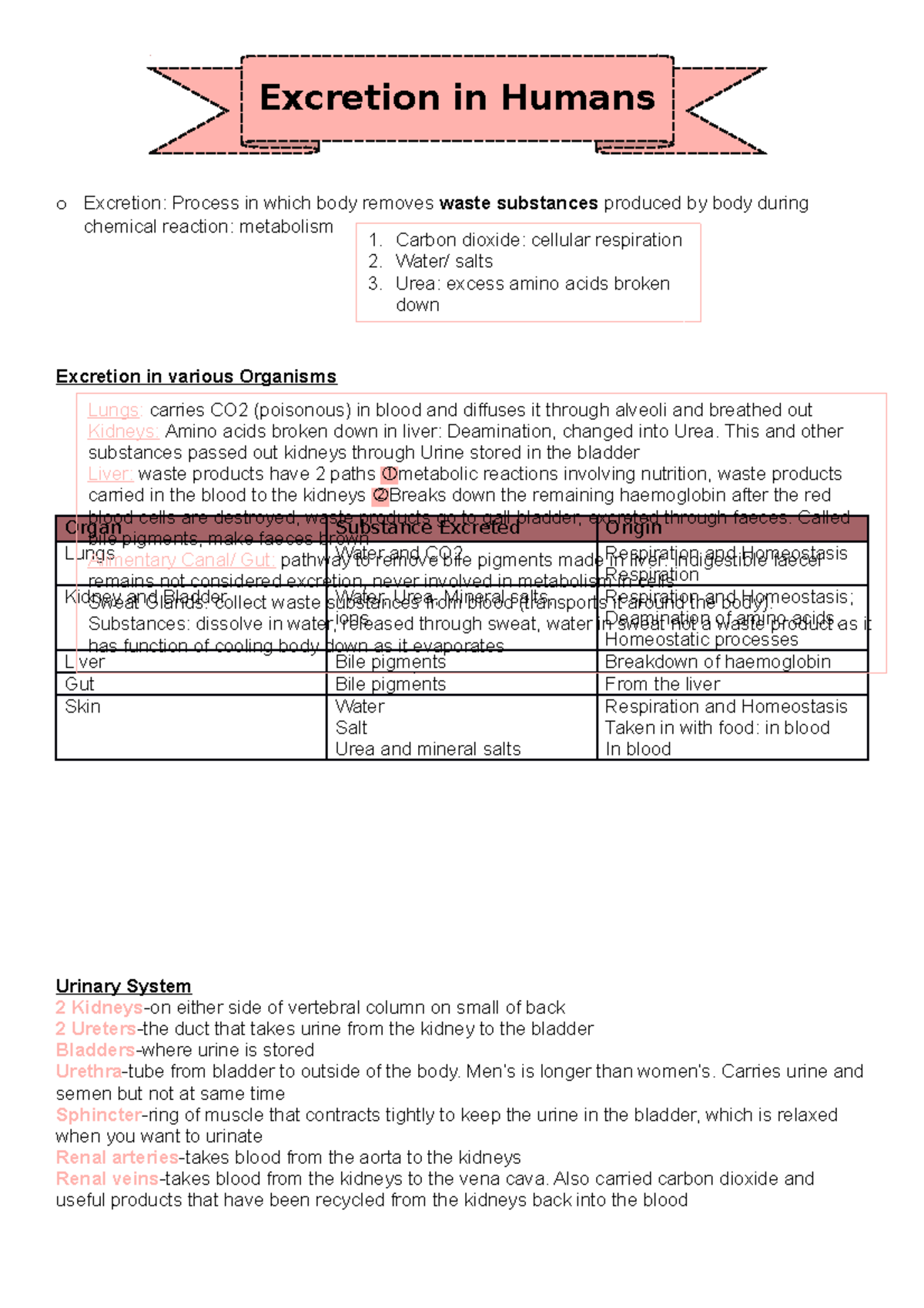 Excretion notes bio (Autosaved) - o Excretion: Process in which body ...