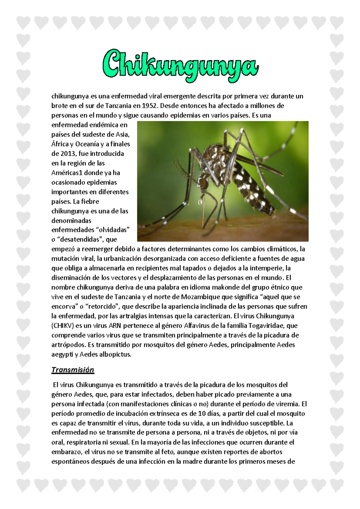 Chikungunya - Desde entonces ha afectado a millones de personas en el ...