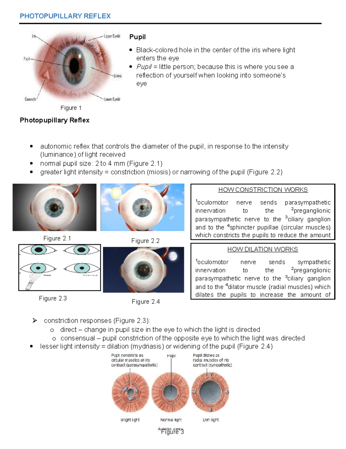 Nervous-System anatomy and physiology reflexes - Figure 3 ...