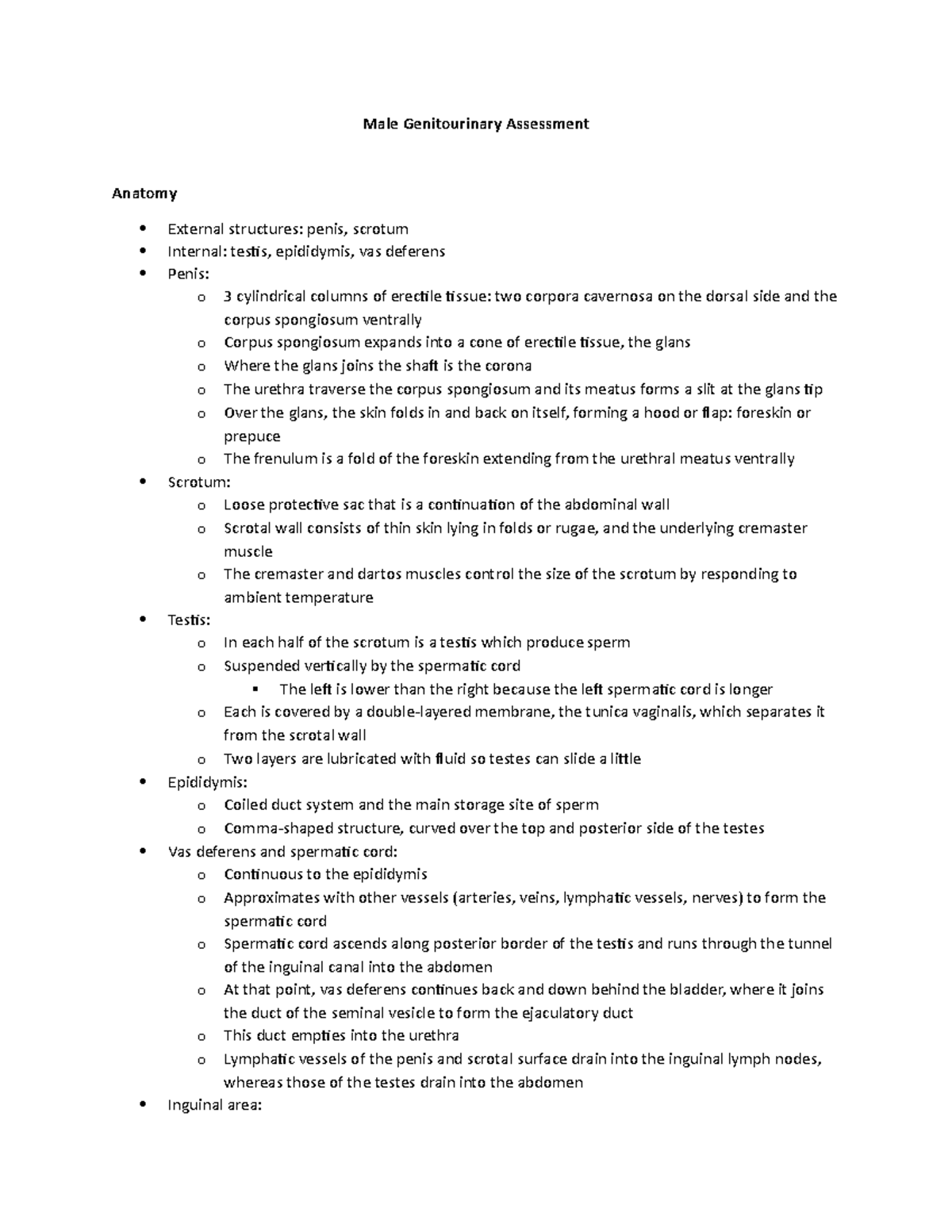 Male Genitourinary Assessment - Male Genitourinary Assessment Anatomy ...