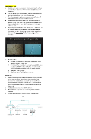 MYCV LAB Notes-3 - lab - KOH and LPCB Preparation Laboratory Techniques ...