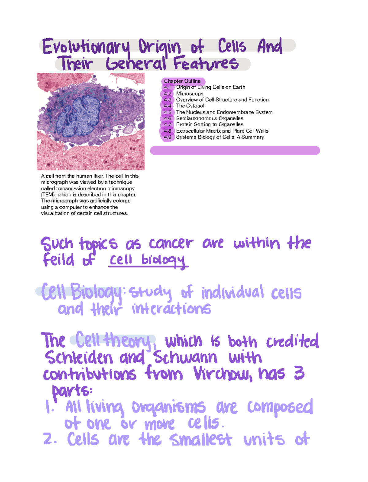 Chapter 4 notes - Evolutionary Origin of Cells And Their General ...