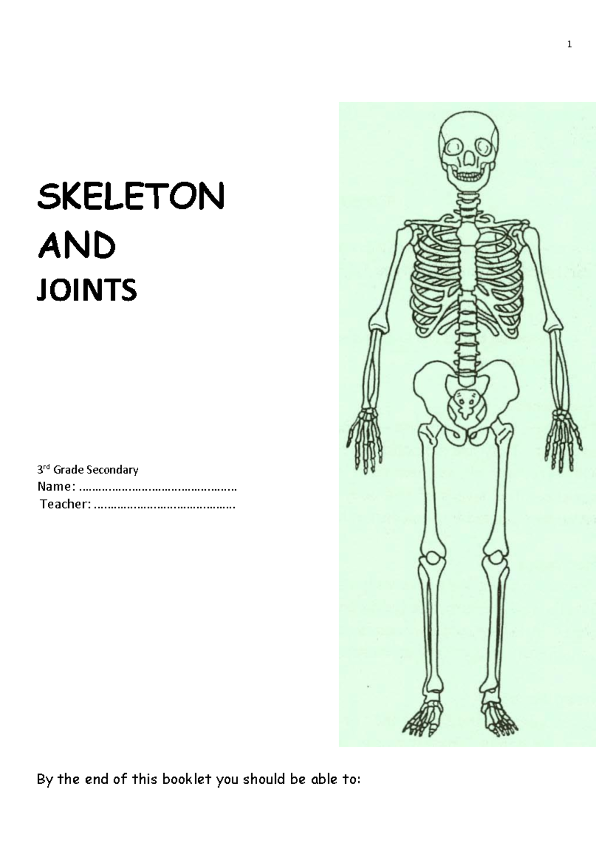 Skeletal System Joints Worksheet