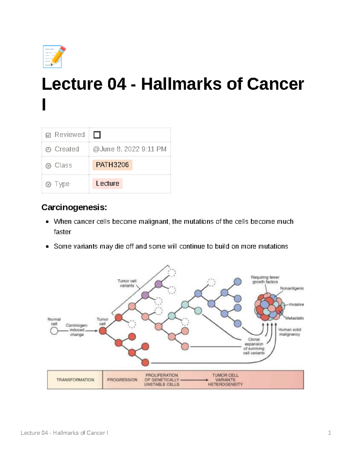 Lecture 4 - Hallmarks I - Ë Lecture 04 - Hallmarks of Cancer I Reviewed ...