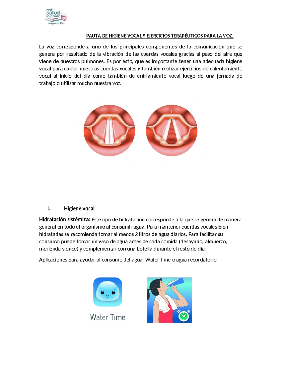 Pauta DE Higiene Vocal Y Ejercicios Terapéuticos PARA LA VOZ - PAUTA DE ...