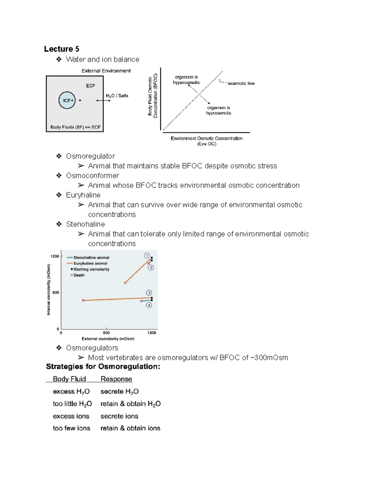 Lecture 6 - Bio 203 exam study material for exam 1 - Lecture 5 Water ...