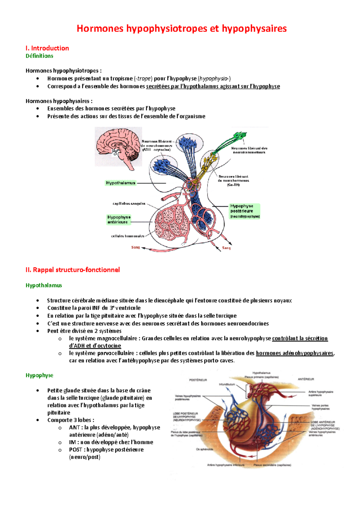 104717 - Hormones hypophysiotropes et hypophysaires I. Introduction ...
