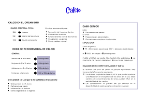 Generalidades del sistema endocrino - MECANISMOS DE SENALIZACION ...