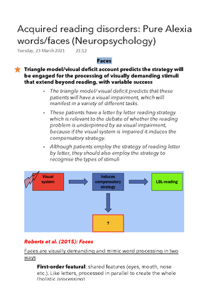 The reading brain cognitive neuropsychological models - These models ...