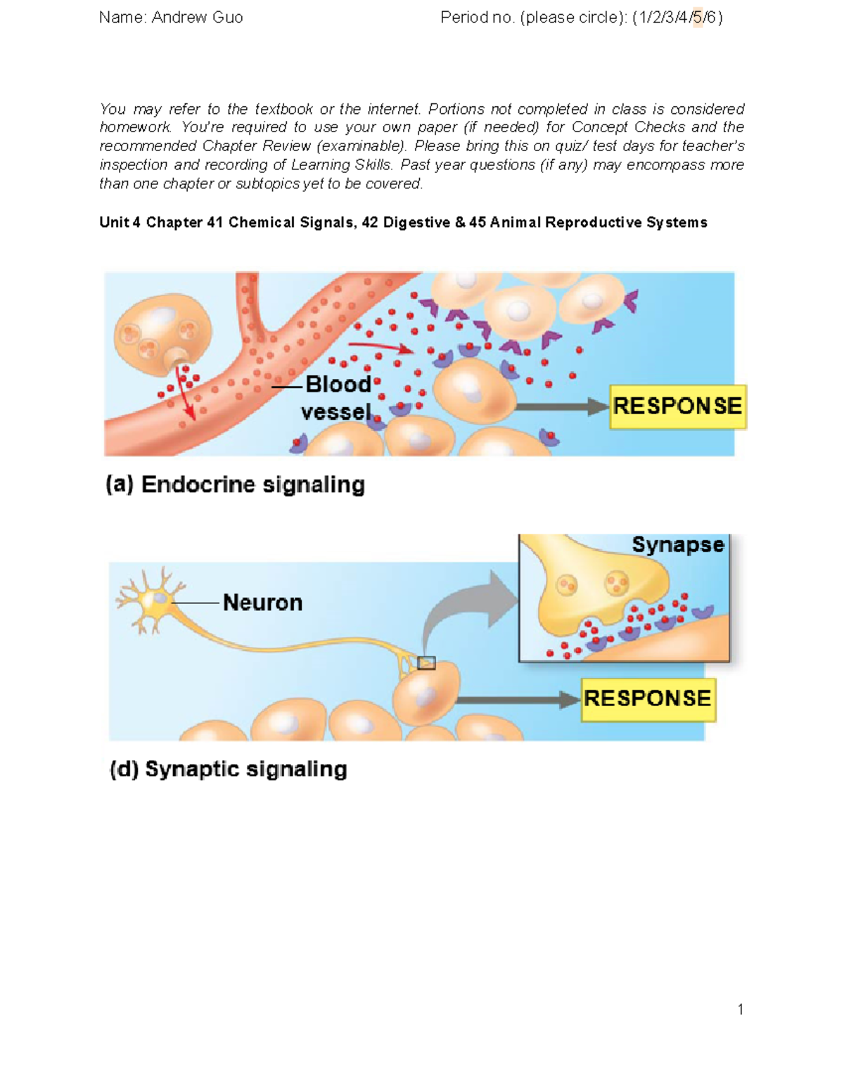 Unit 4 Chapter 41 Chemical Signals, 42 Digestive & 45 Animal ...