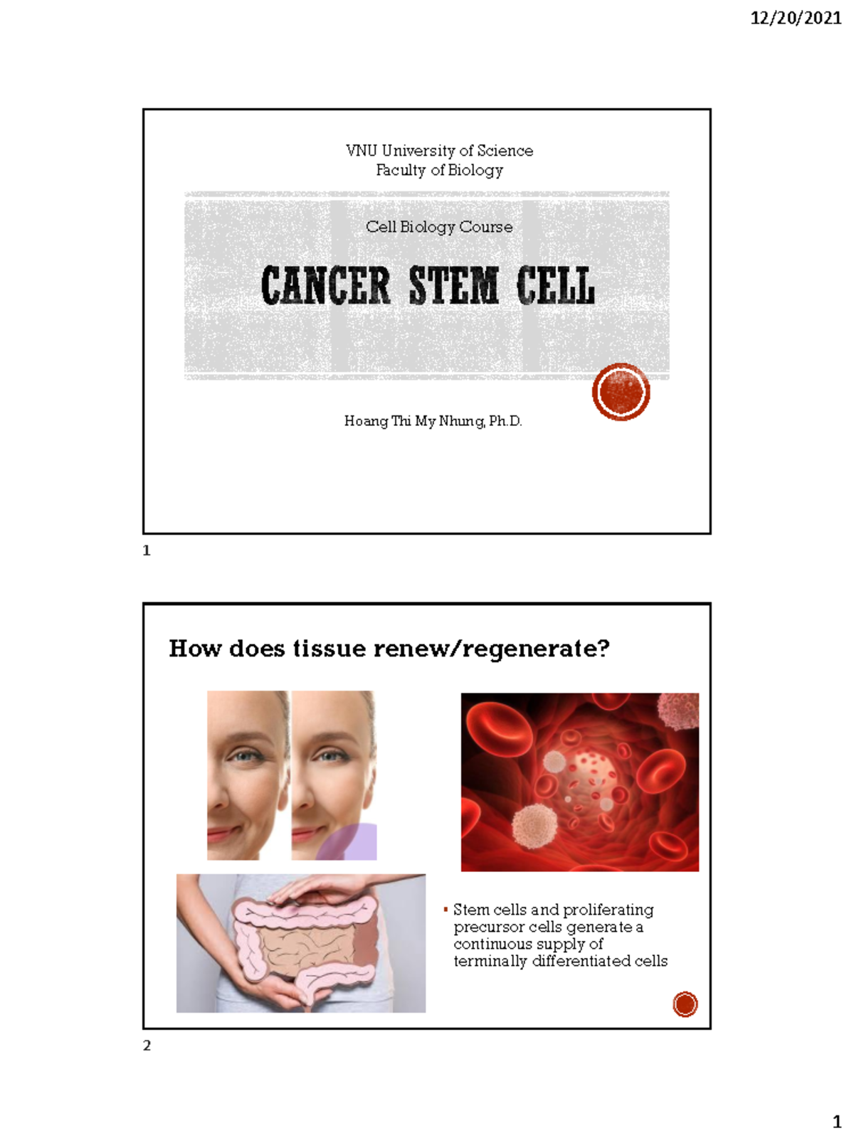 Cancer Stem Cell lecture - Cancer Cell Signaling course - 10.12.2021 ...