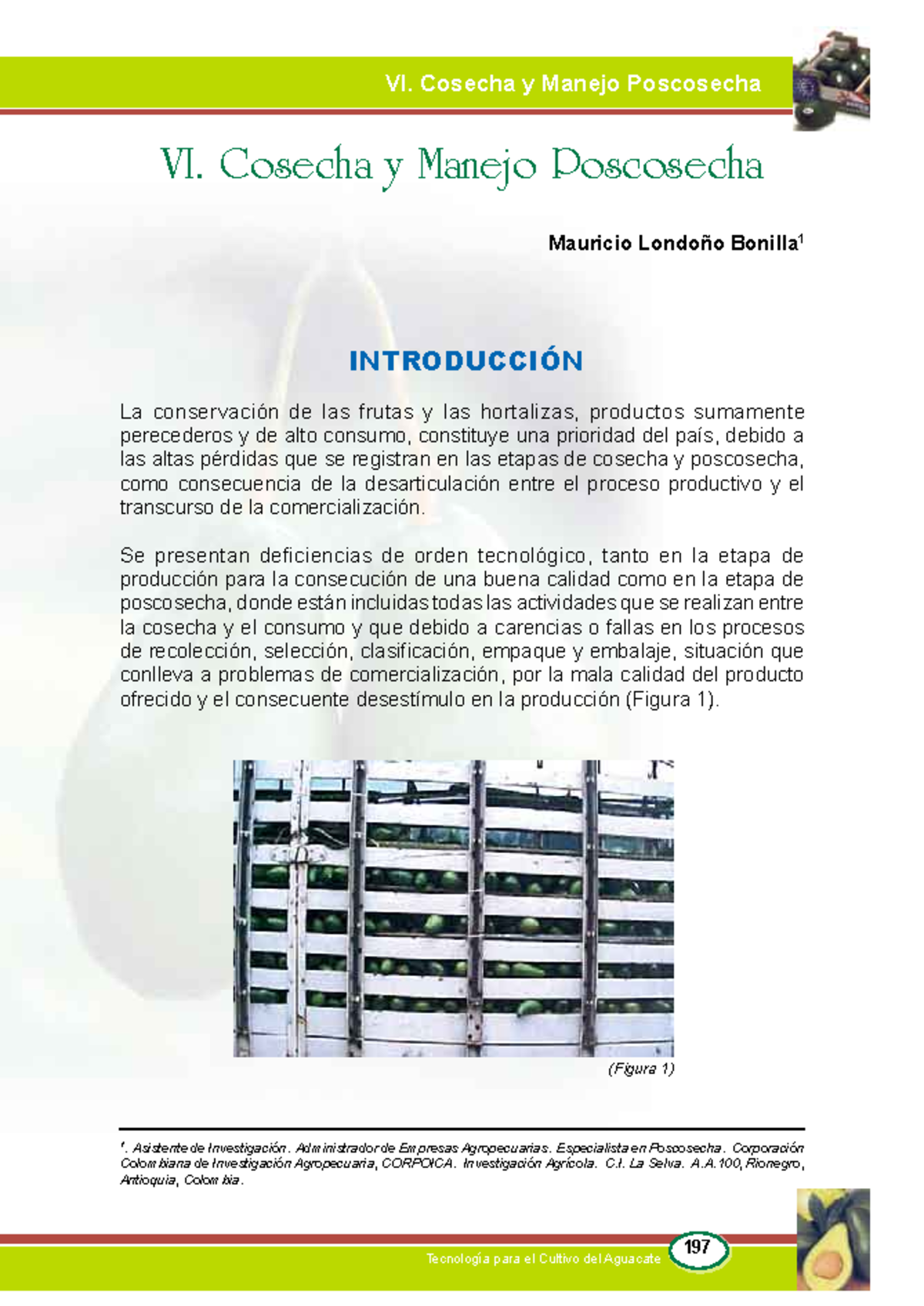 Cosecha y Poscosecha - 197 VI. Cosecha y Manejo Poscosecha Mauricio Londoño Bonilla 1 ...