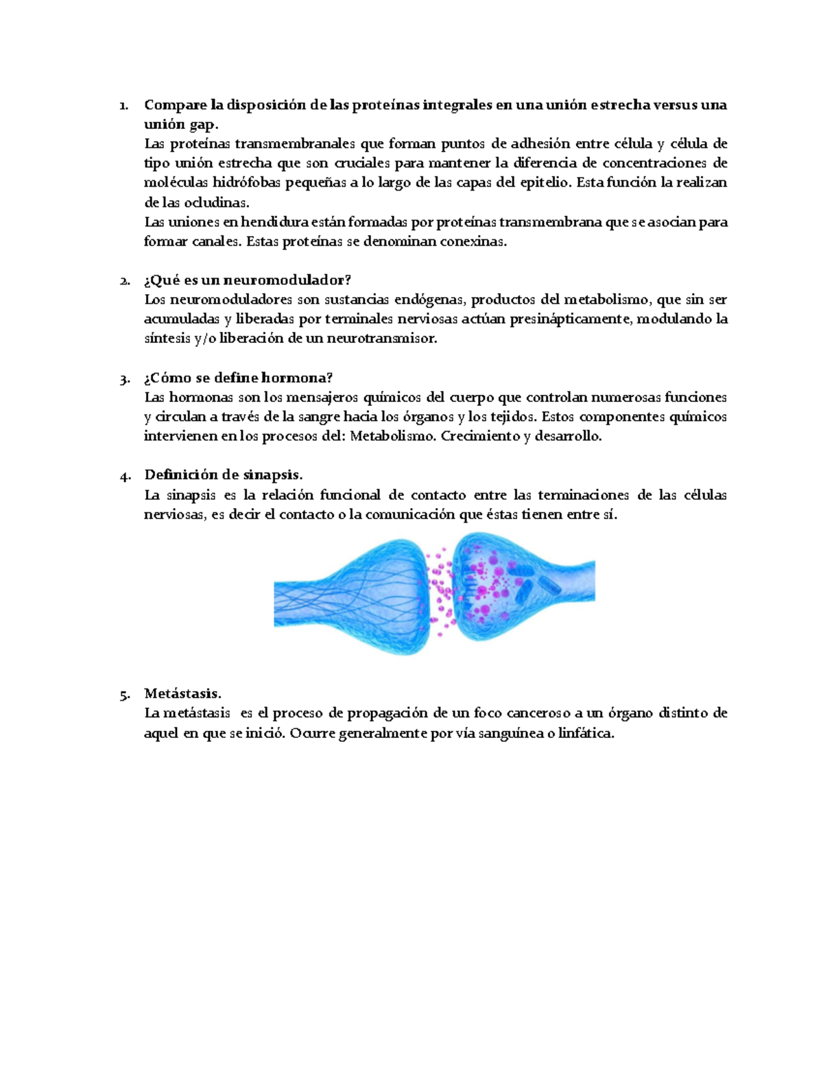 J21M - Unión estrecha vs unión Gap de proteínas integrates. Definición ...
