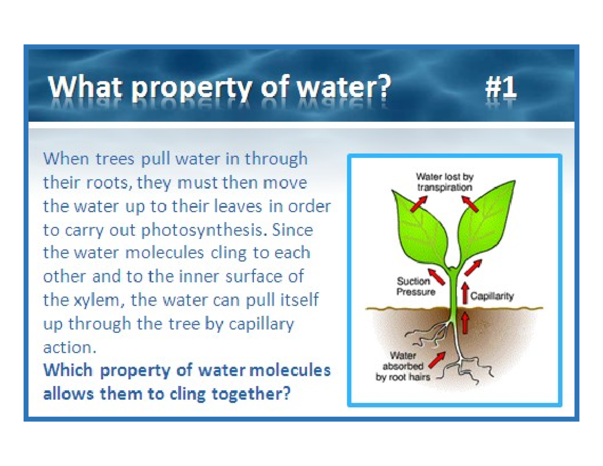 Properties of Water Gallery Walk (Task Cards) 2 - EMA 5001 - Studocu