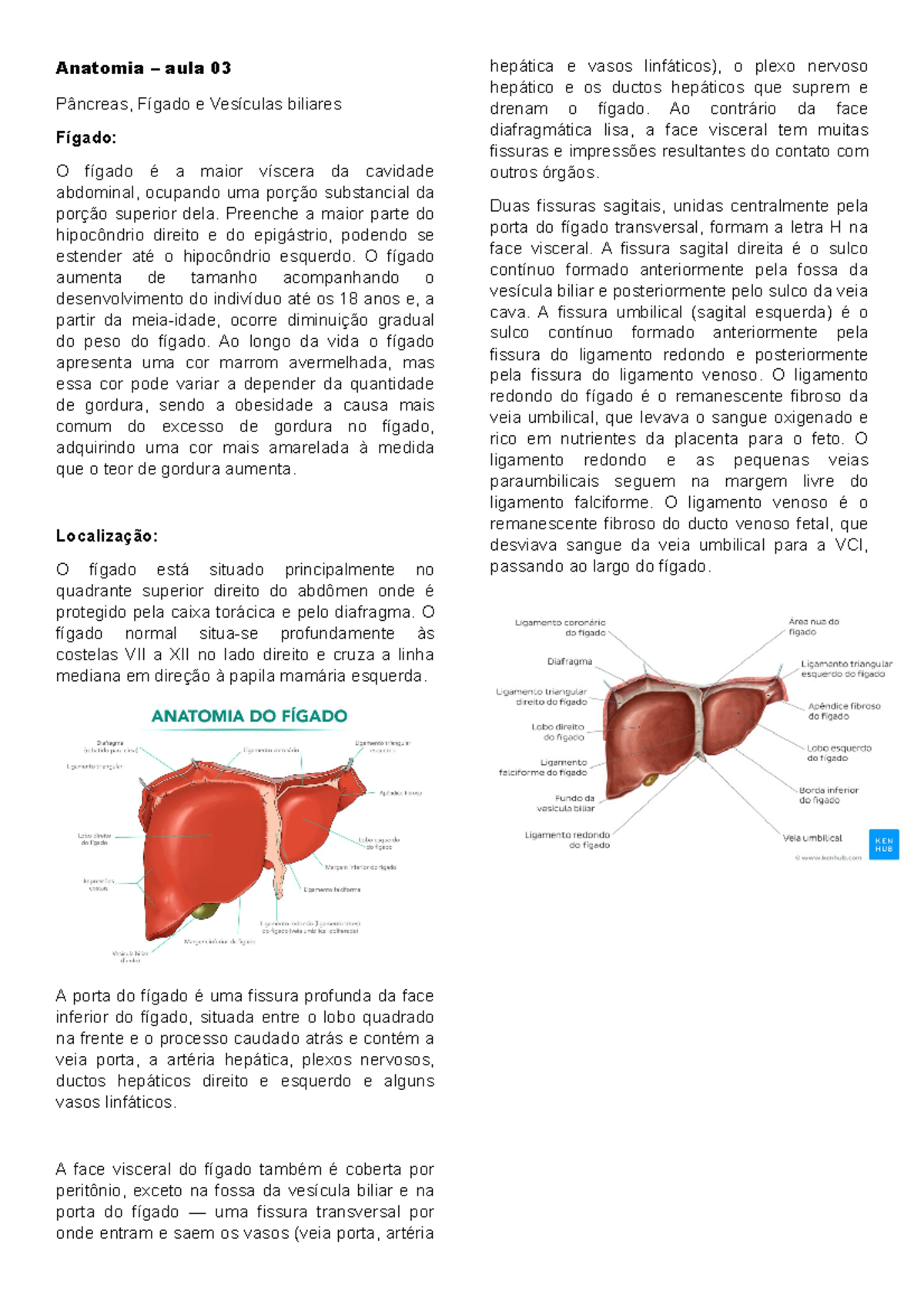 Anatomia 3p - Anatomia – aula 03 Pâncreas, Fígado e Vesículas biliares ...