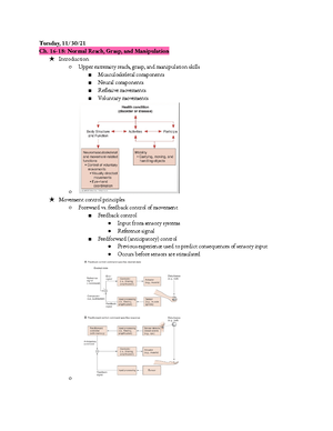 Neuromotor control: intro, planes of motion, core problems, chapter 1 ...