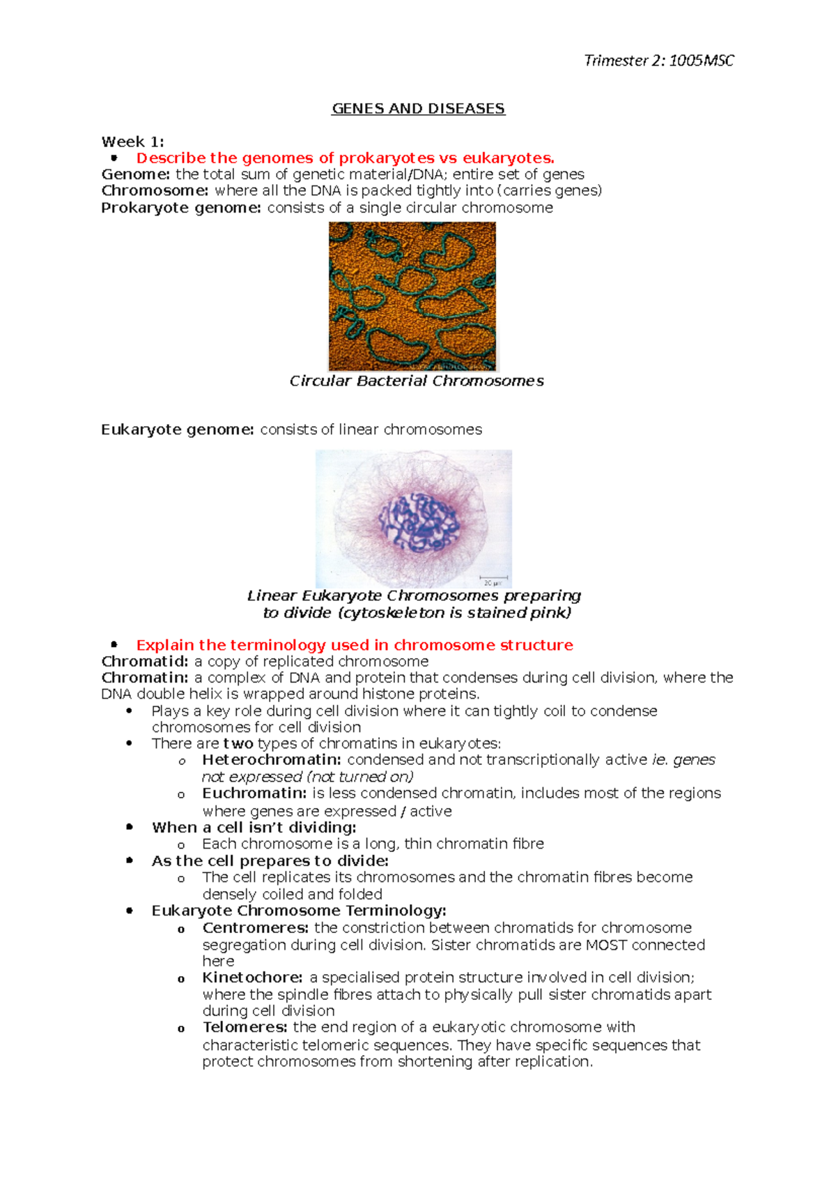 Genes and Diseases Content 1005MSC lecture notes - 1005MSC - Griffith ...