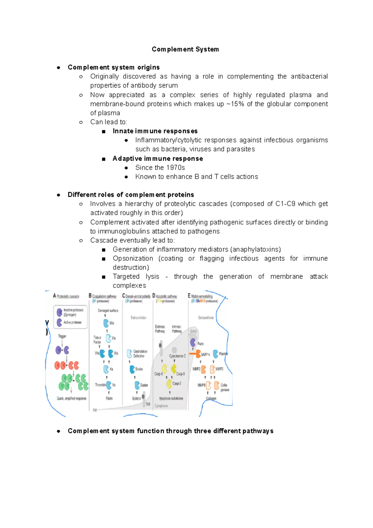 Complement System - Studocu