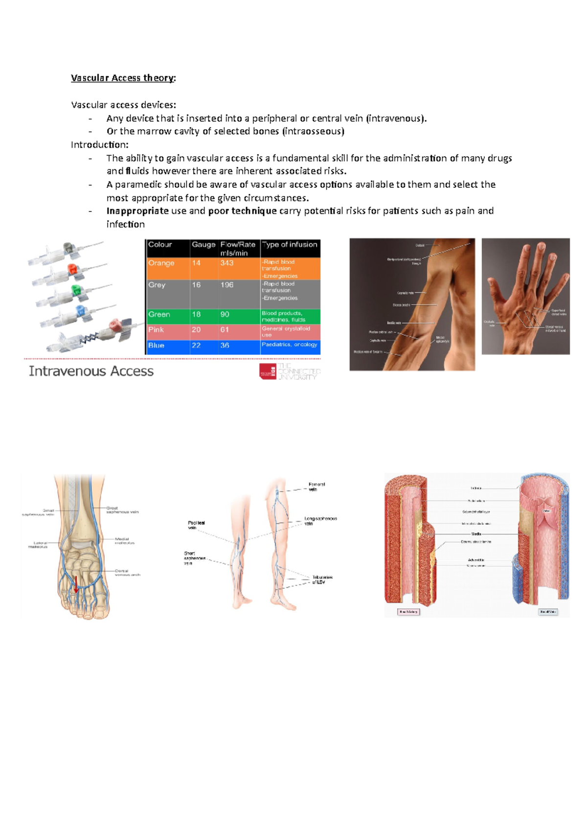 Vascular access theory - Or the marrow cavity of selected bones ...