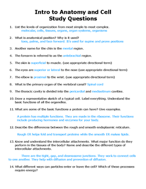 Joints study guide - Joints Study Questions What are the five ...