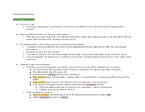 molecular genetics Unit 2 - Cell Cycle: IPMAT Mitosis: series of events ...