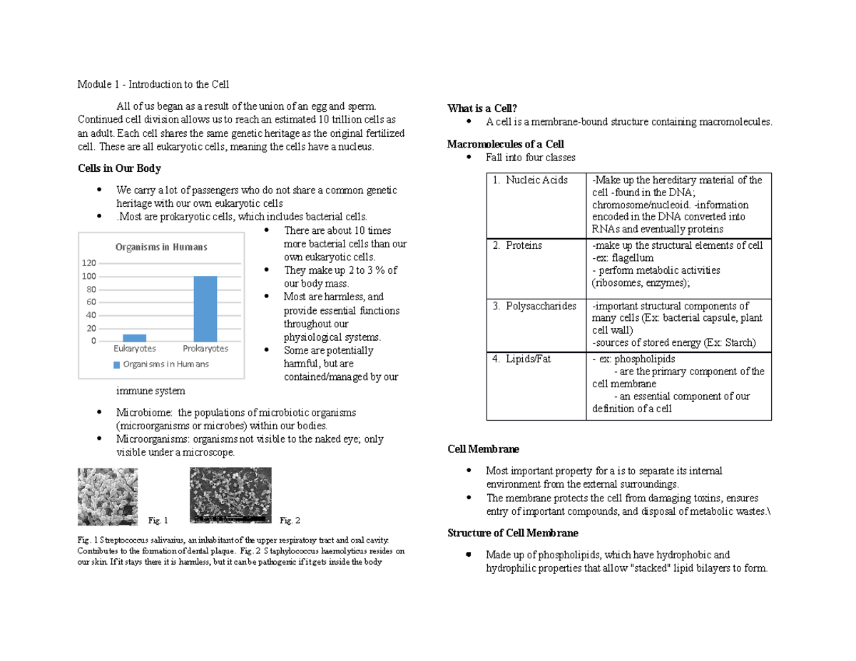 Lecture notes, lectures Theme 1 Module 1 - Introduction of the Cell ...