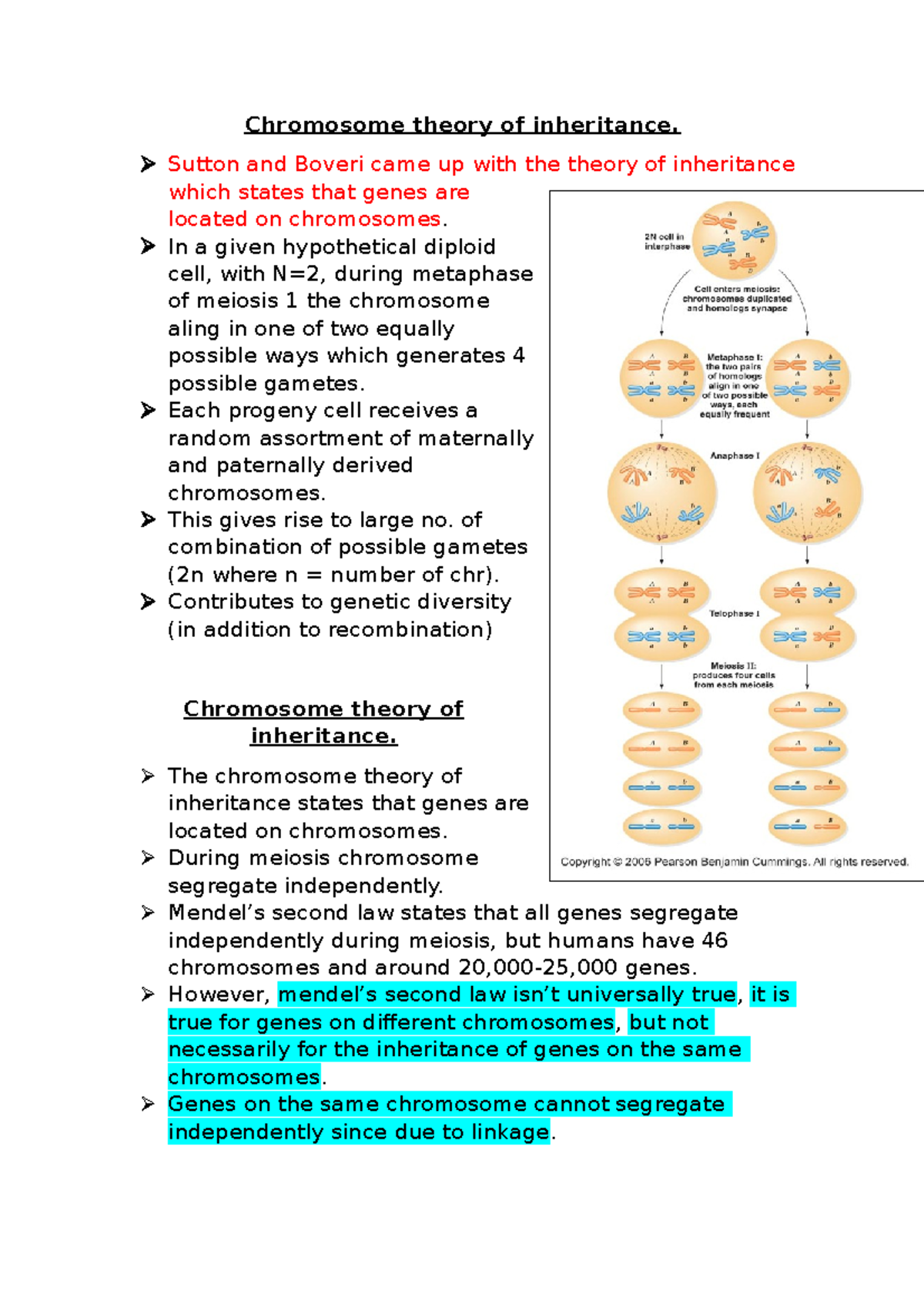 Recombination & Gene Mapping Revision guide - Chromosome theory of ...